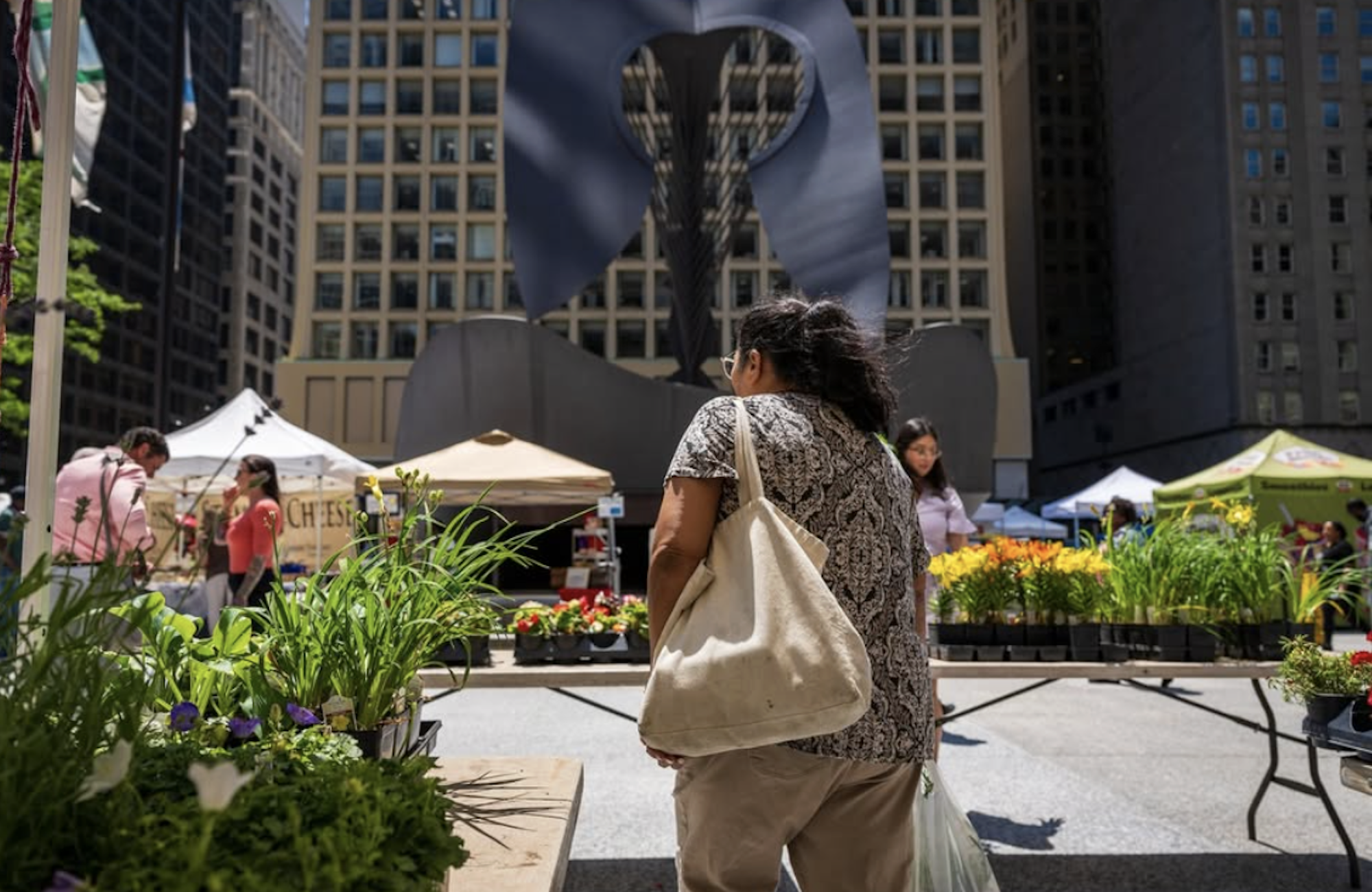 Farmers Markets Return To Downtown, West Loop, South Loop This Summer