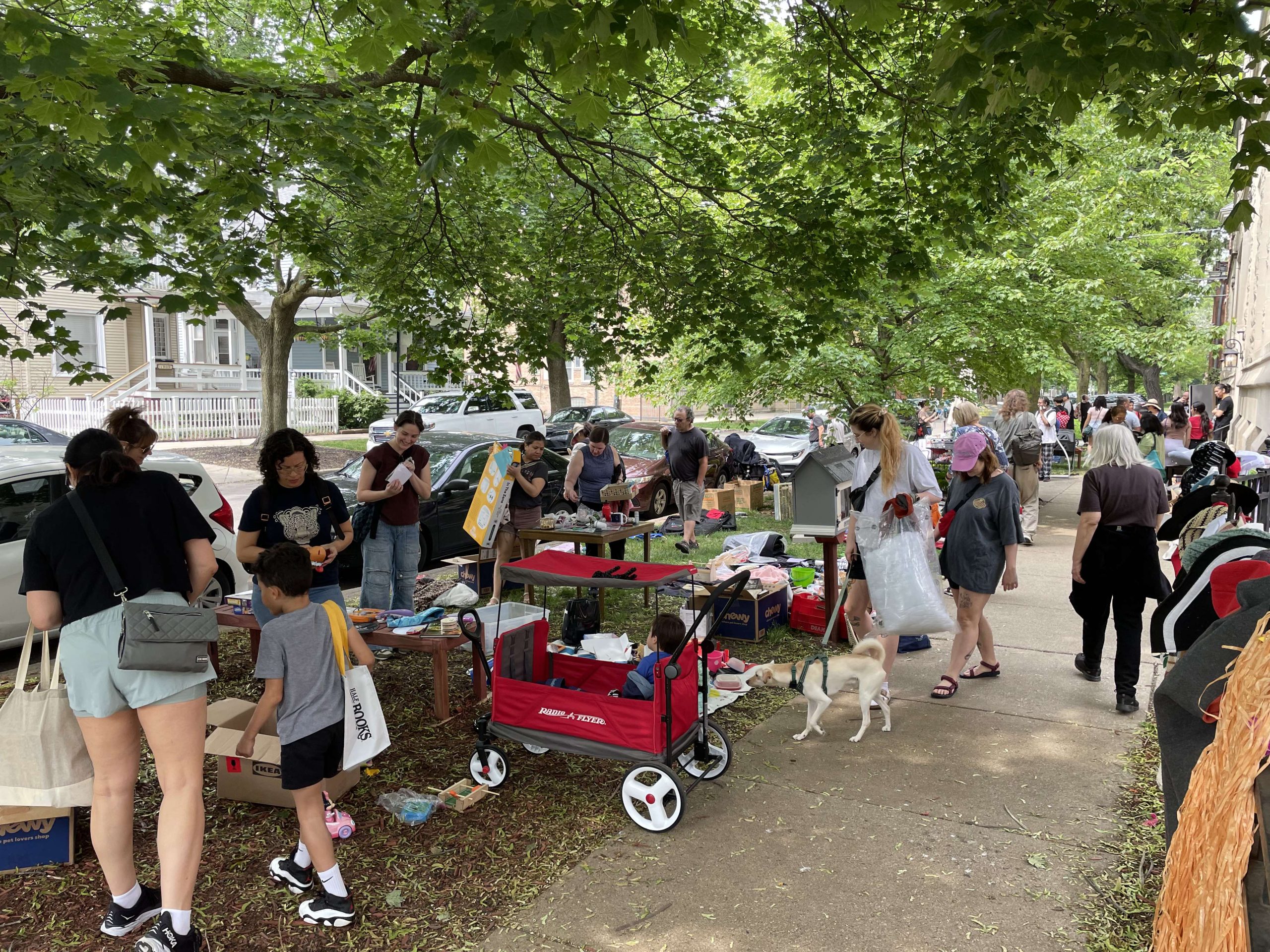 A Free Yard Sale? Ravenswood Neighbors Giving Away Housewares And More ...